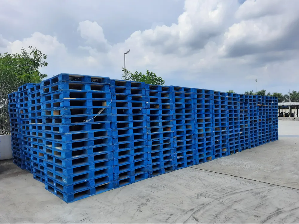 Are Blue Pallets Illegal? The Truth Behind Their Use - Plymouth Pallet ...